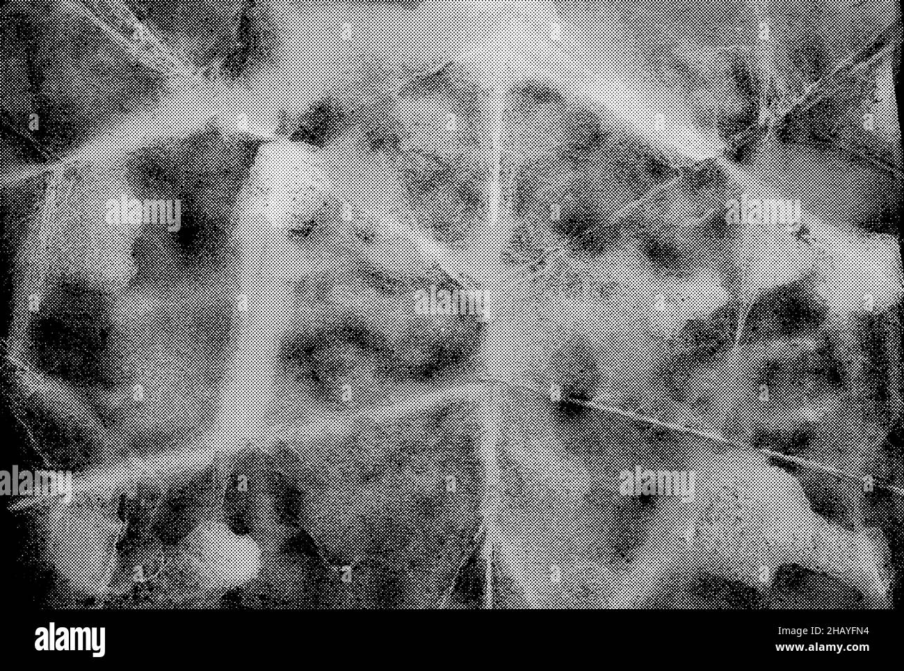 Close up of Halftone Paper Texture for Background Stock Photo - Alamy