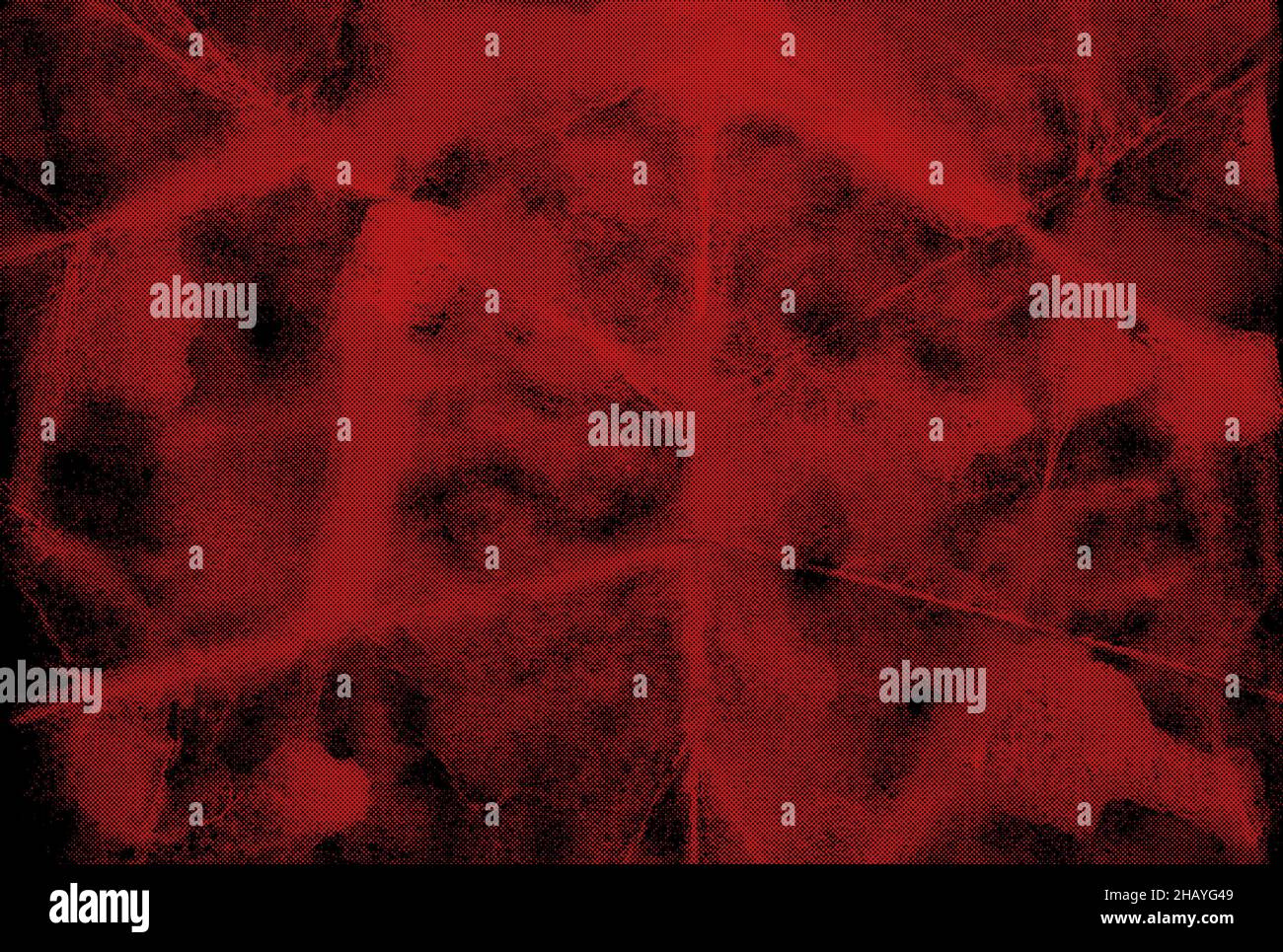 Close up of Halftone Paper Texture for Background Stock Photo - Alamy