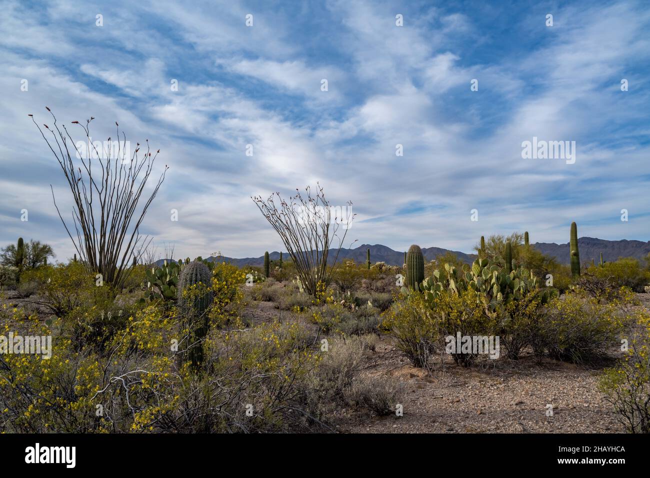 A beautiful overlooking view of nature in Tucson, Arizona Stock Photo ...