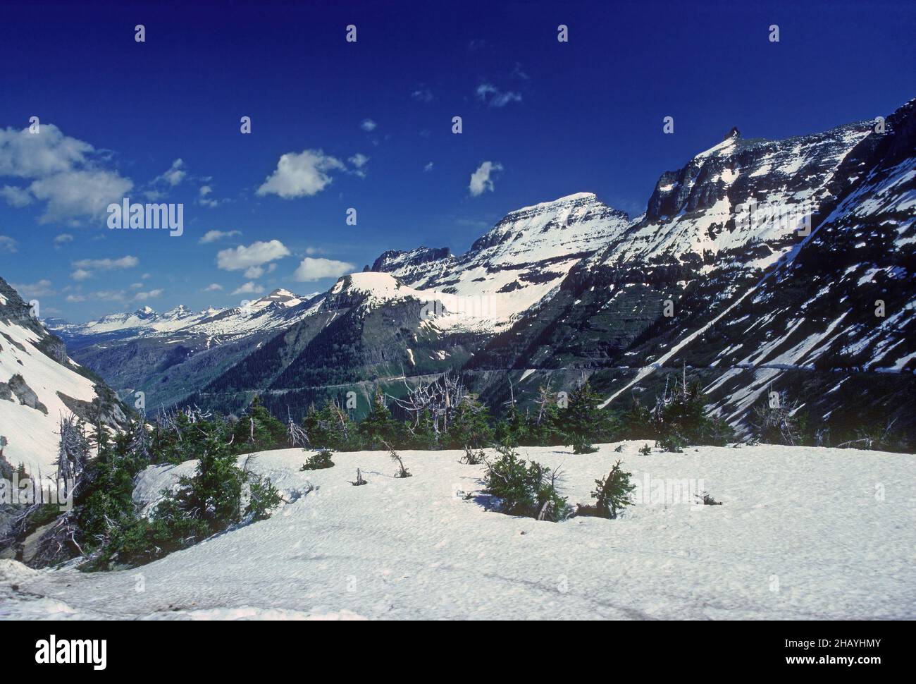 Summer Snow in Jagged Mountains on Logan Pass in Glacier National Park ...