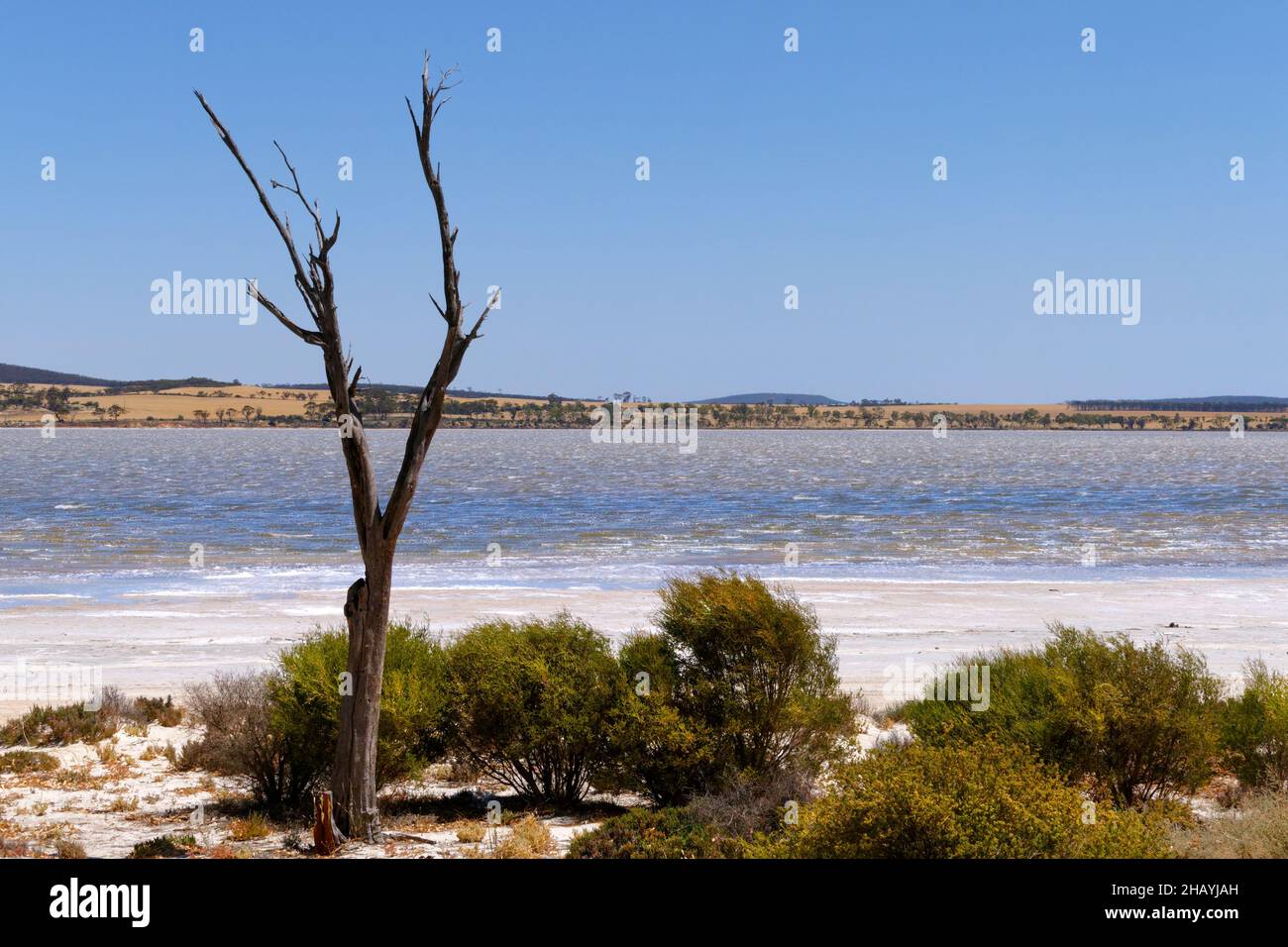 Lake Ninan, Victoria Plains, Western Australia Stock Photo - Alamy
