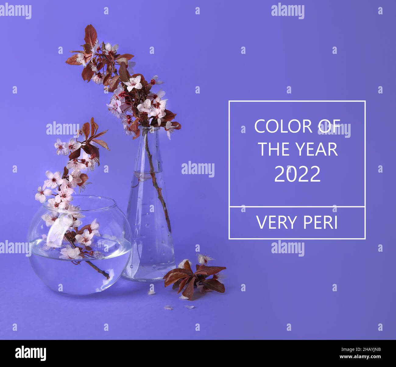 Pantone very peri colour of the year hi-res stock photography and ...