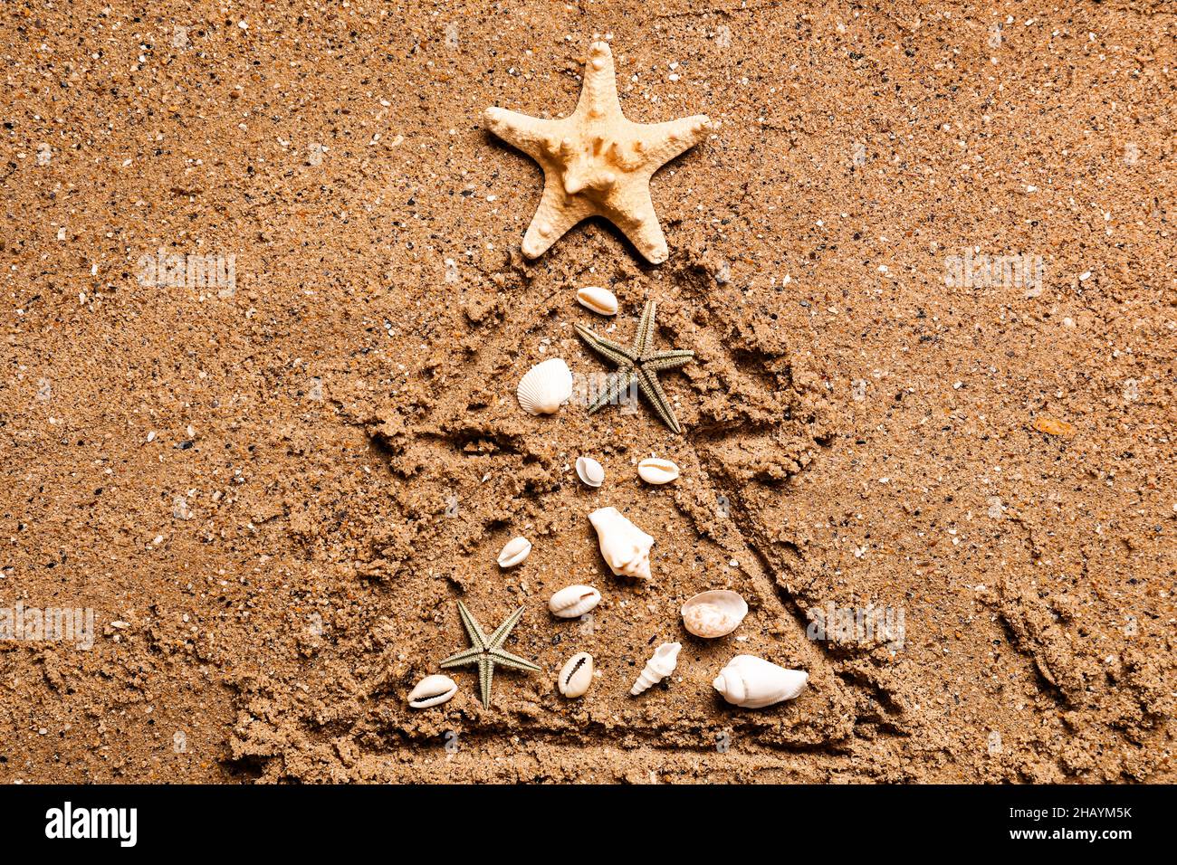 Christmas tree made of sea shells on beach sand Stock Photo - Alamy