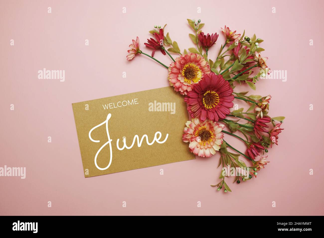 Welcome June typography text with flowers on pink background Stock ...