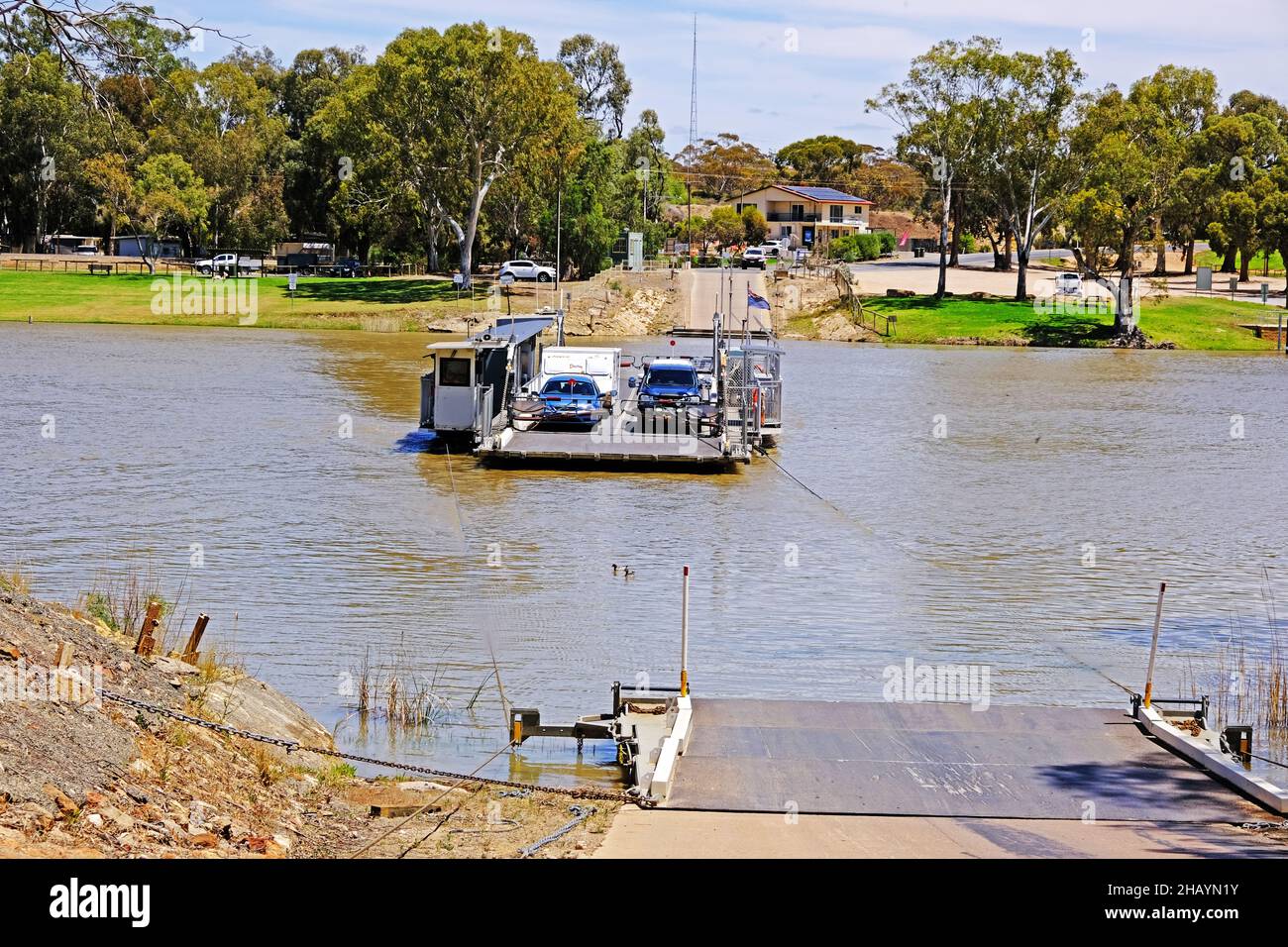 The ferry at Morgan on the River Murray in South Australia Stock Photo ...