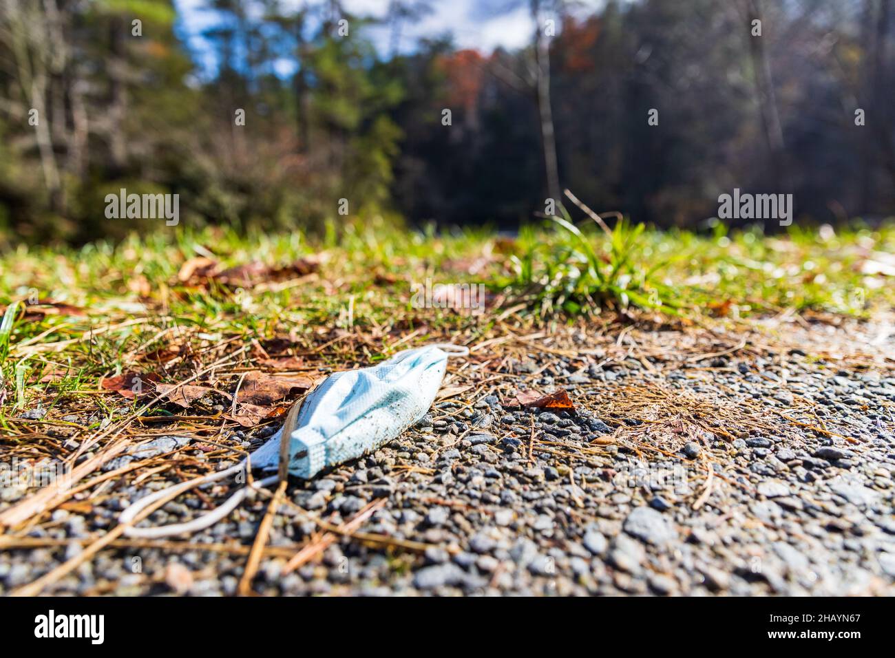 Face mask littered in nature area, selective focus Stock Photo - Alamy