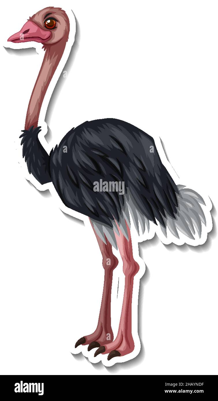 Ostrich bird animal cartoon sticker illustration Stock Vector Image ...