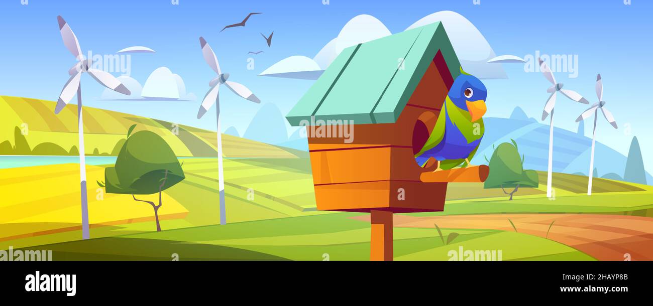 Cute parrot in birdhouse in countryside with green fields and wind ...