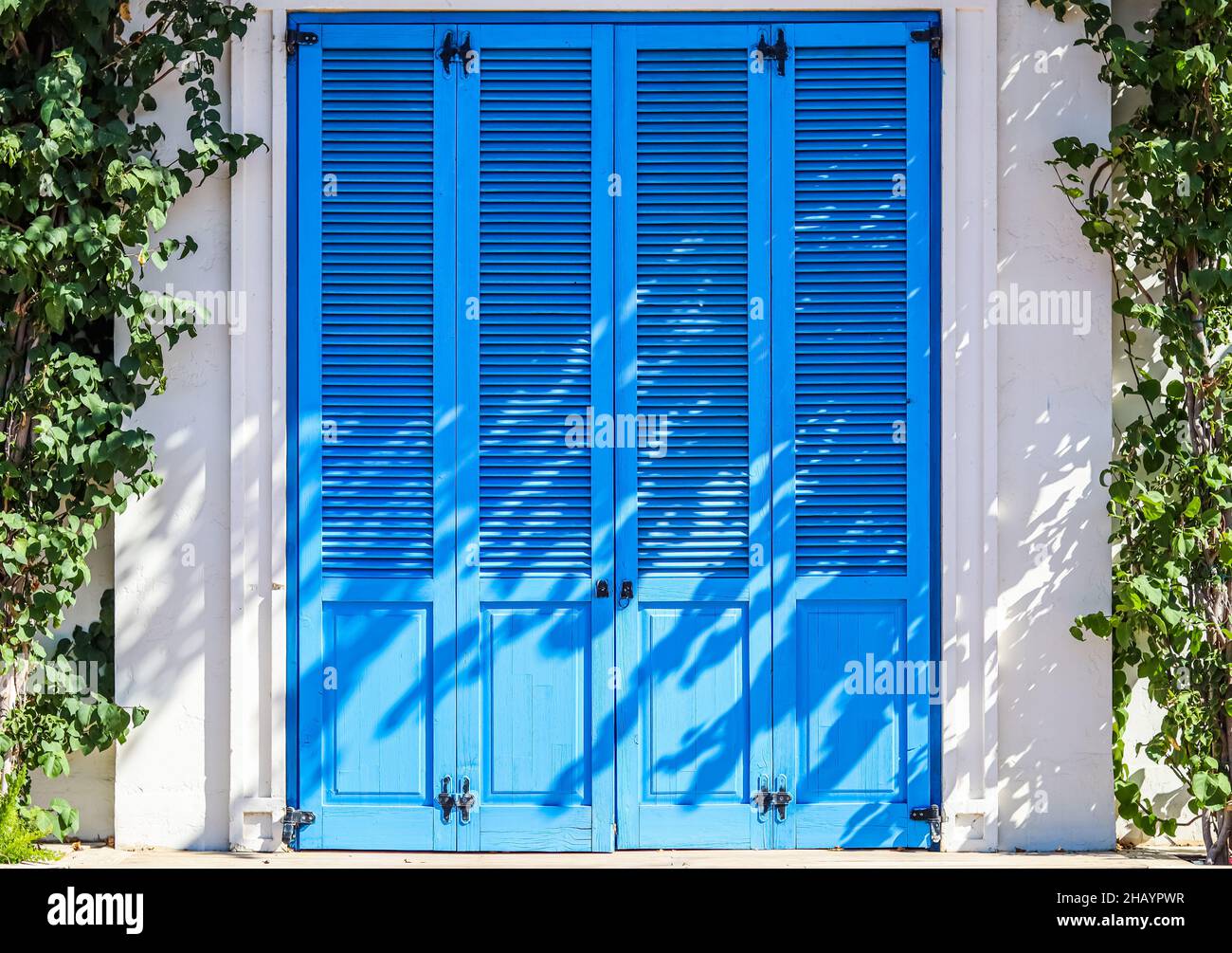 Texture of vintage blue door. Background of classic louver with ...