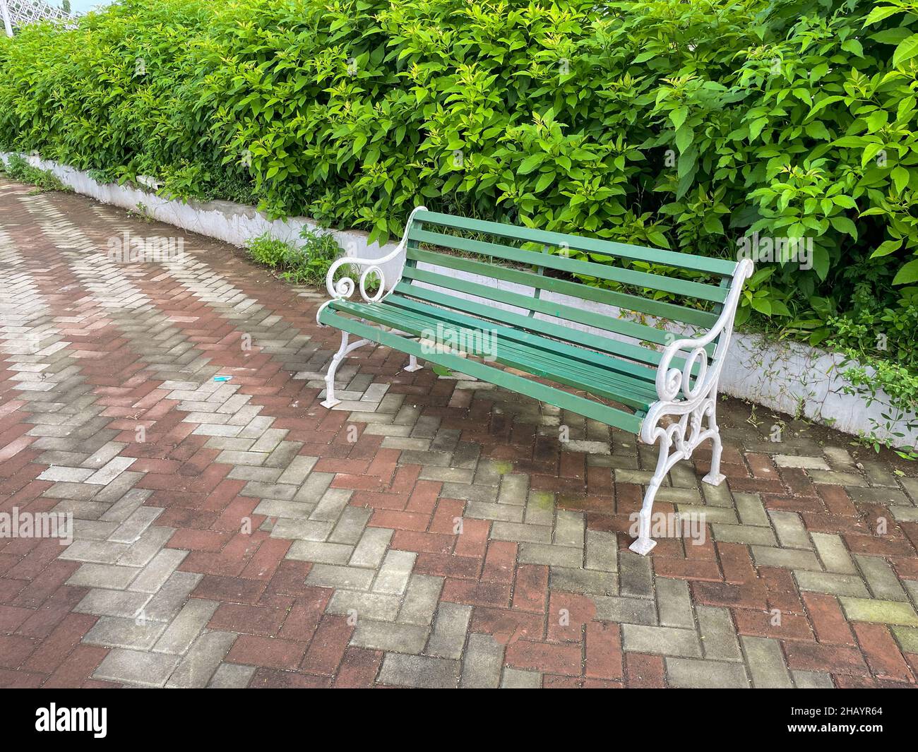 A beautiful siting bench placed in a park with quite and green ...
