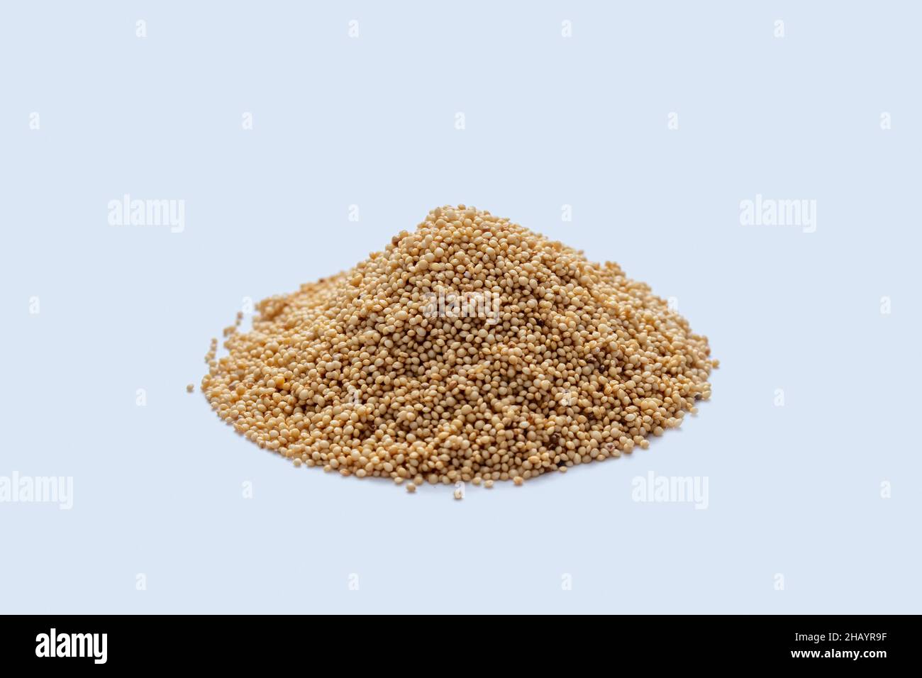 Rajgira, Amaranthus caudatus, Satara, Maharashtra, India Stock Photo ...