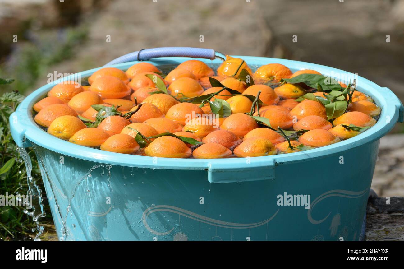 Moroccan fruits hi-res stock photography and images - Alamy