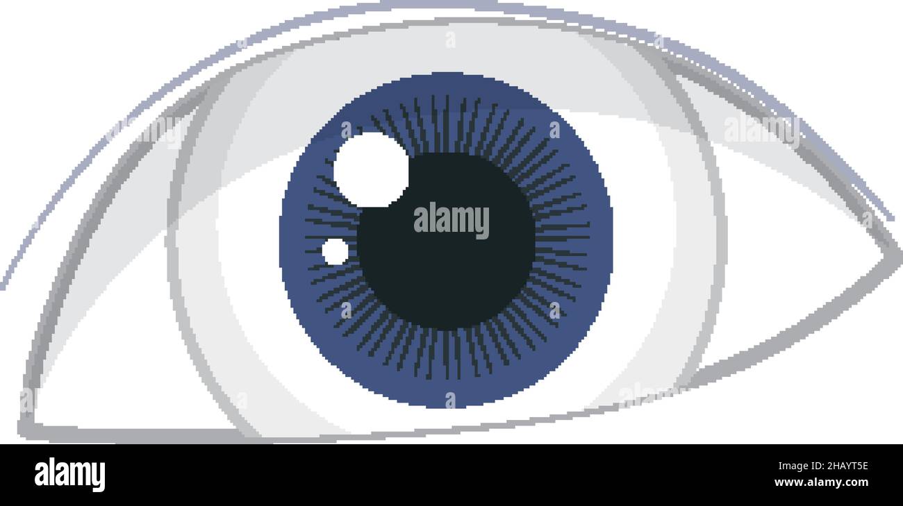 Human blue eye in cartoon style illustration Stock Vector Image & Art ...