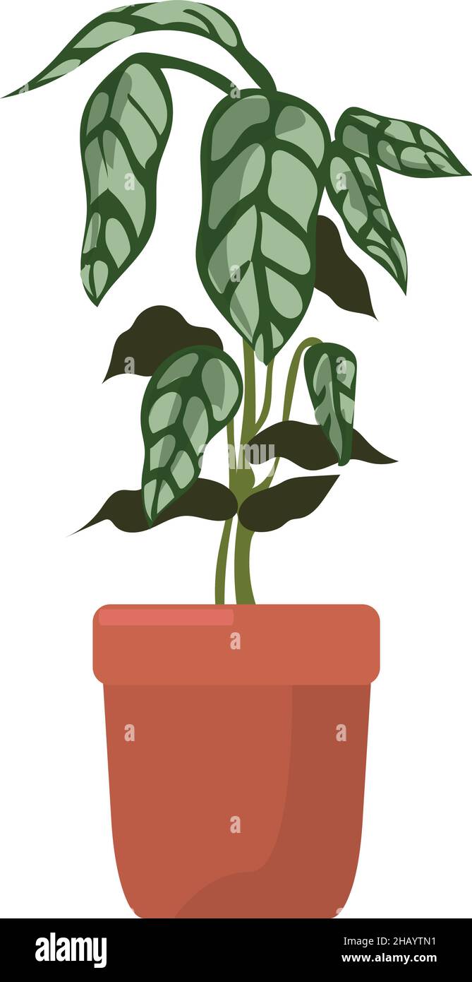 nice plant illustration over white Stock Vector Image & Art - Alamy
