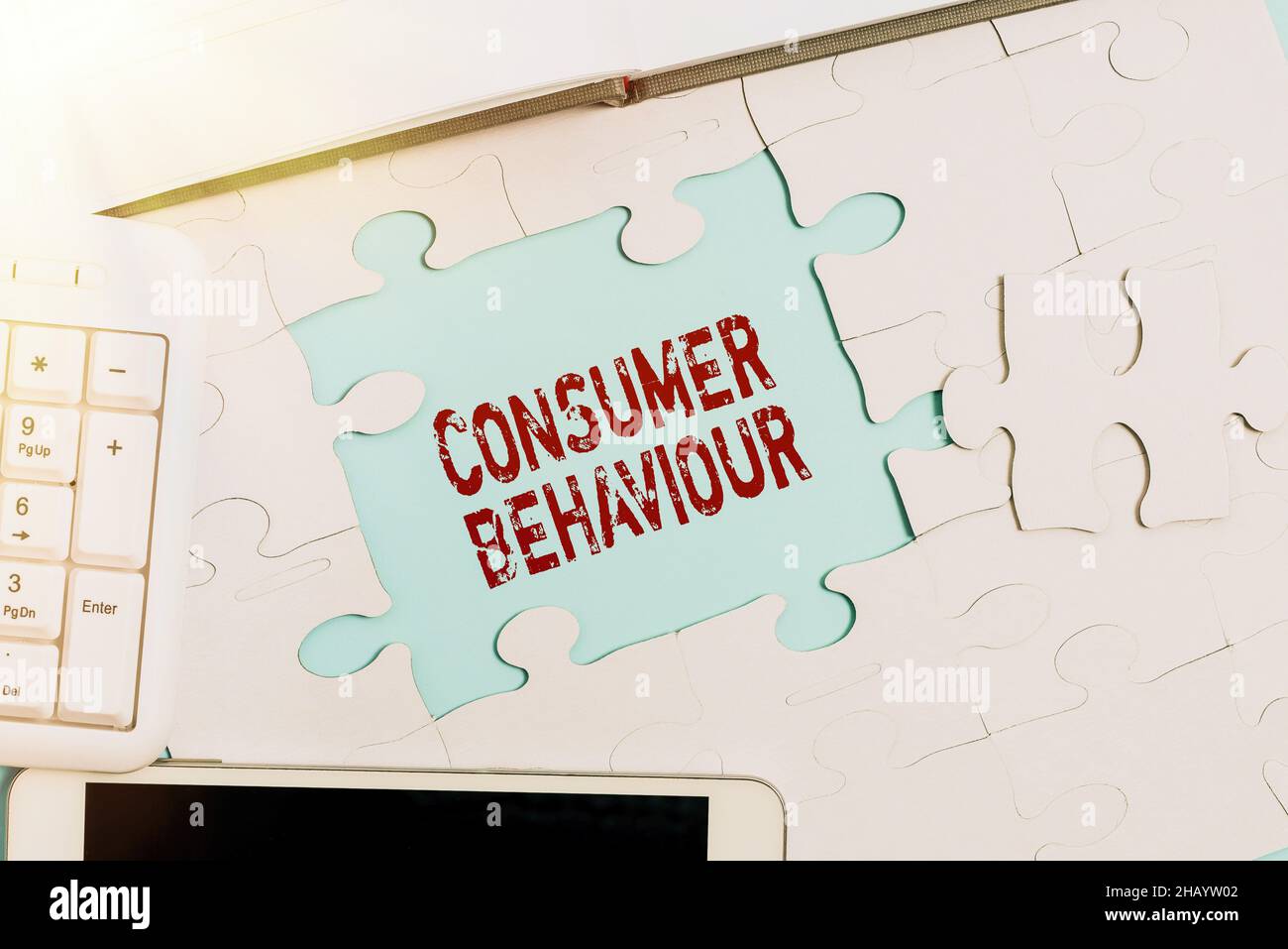 Inspiration showing sign Consumer Behaviour. Business approach ...