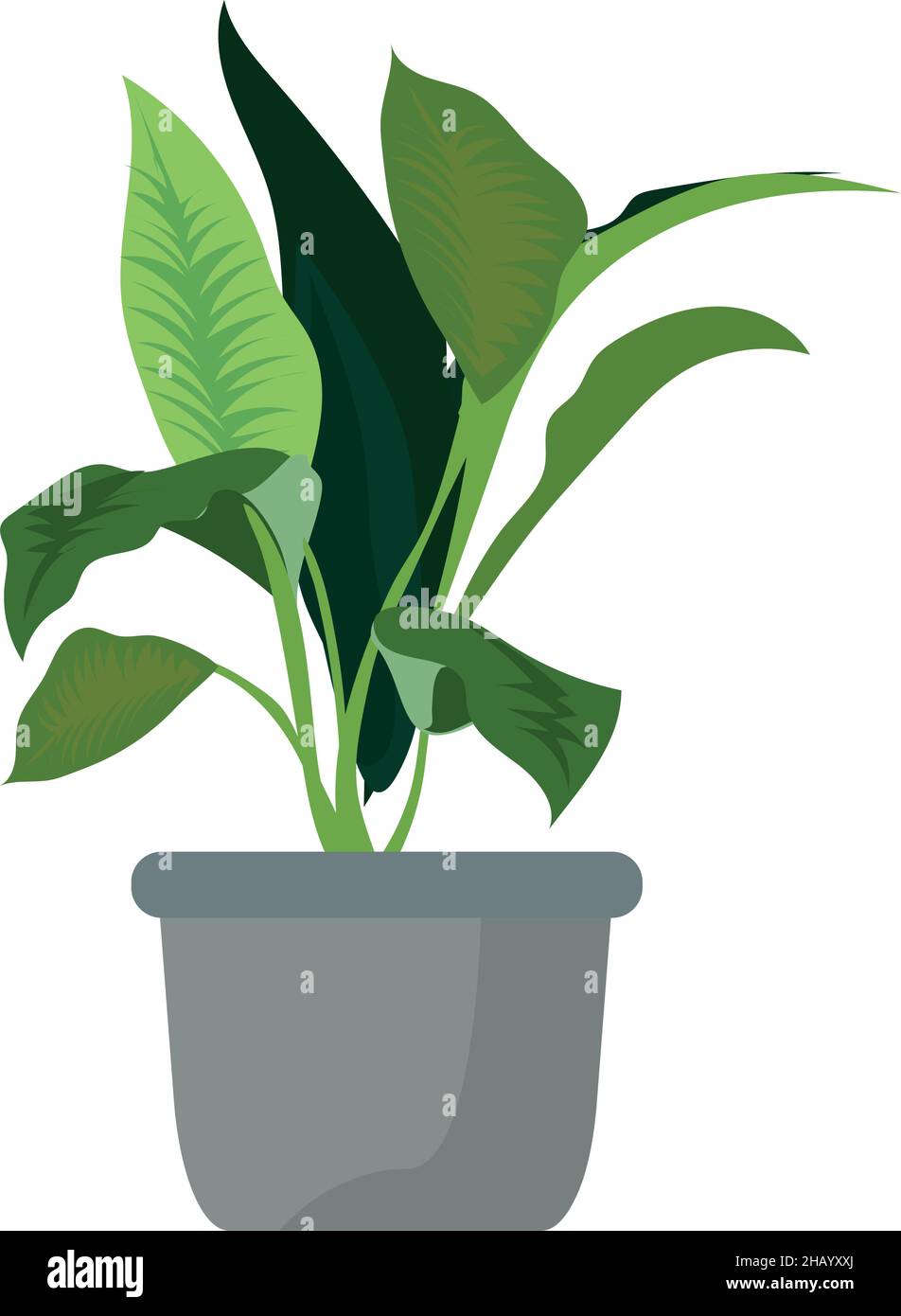 cute plant icon over white Stock Vector Image & Art - Alamy
