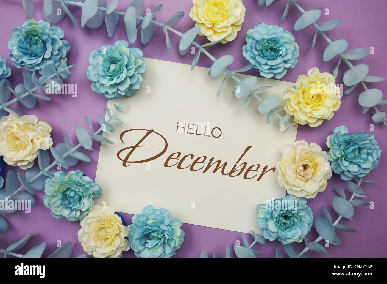 Hello December typography text and flower decorate on purple background ...