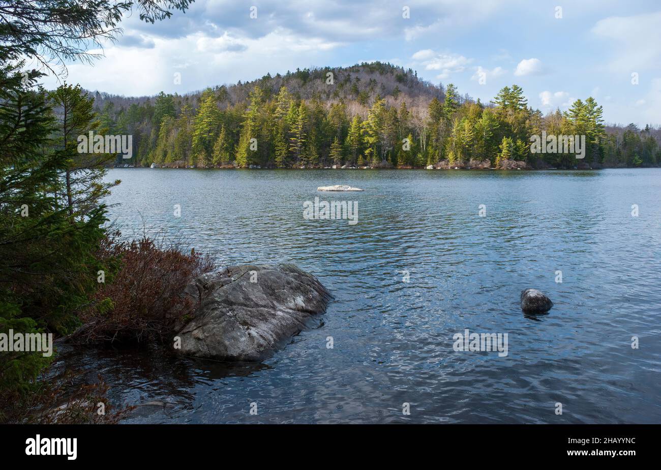Kettle Pond - landscape of a rippled lake surrounded by a mixed forest ...