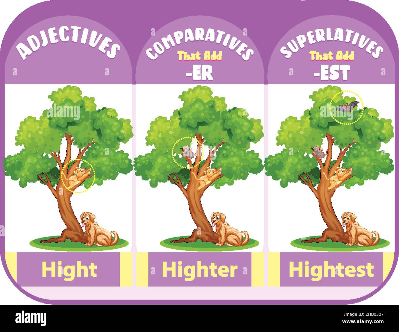 Comparatives and superlatives for word hight illustration Stock Vector ...