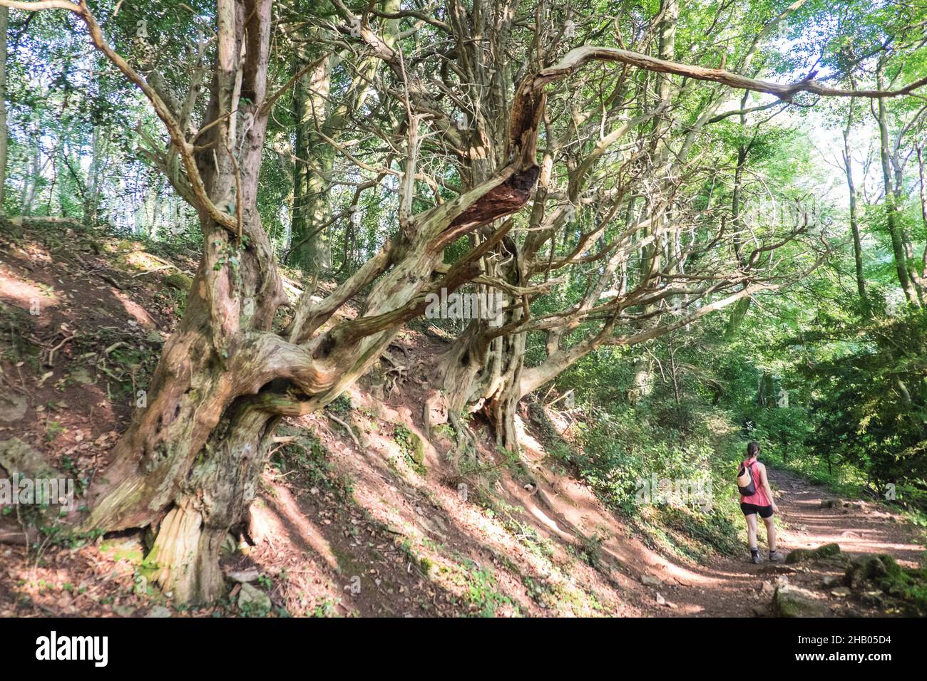 Devils pulpit offa's hi-res stock photography and images - Alamy