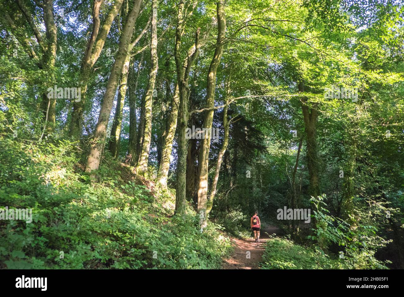 Devil’s pulpit wye hi-res stock photography and images - Alamy