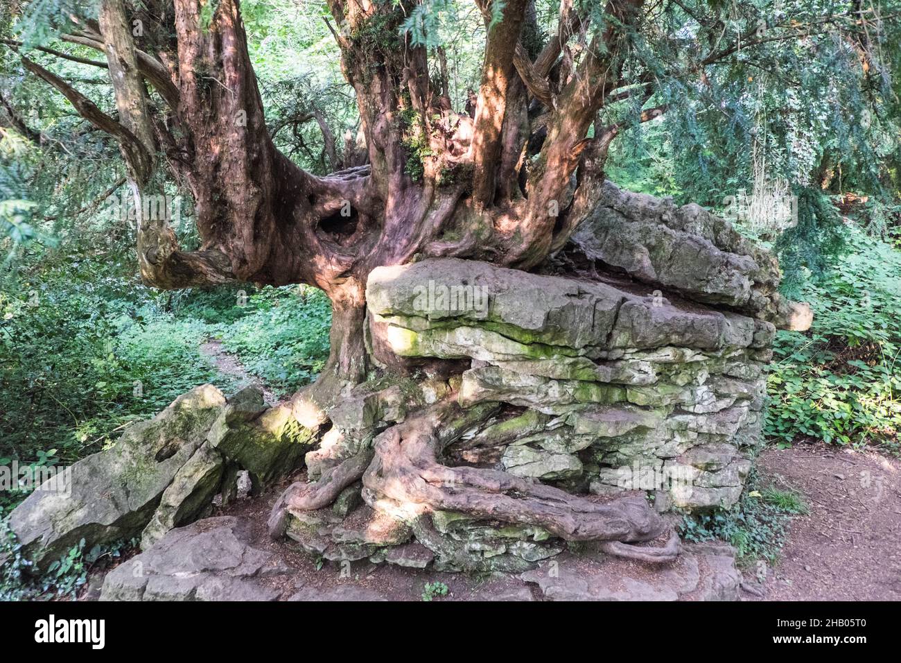 Hiking,hiker,walker,walking,footpath,trail,Offa's Dyke Path,on,public ...