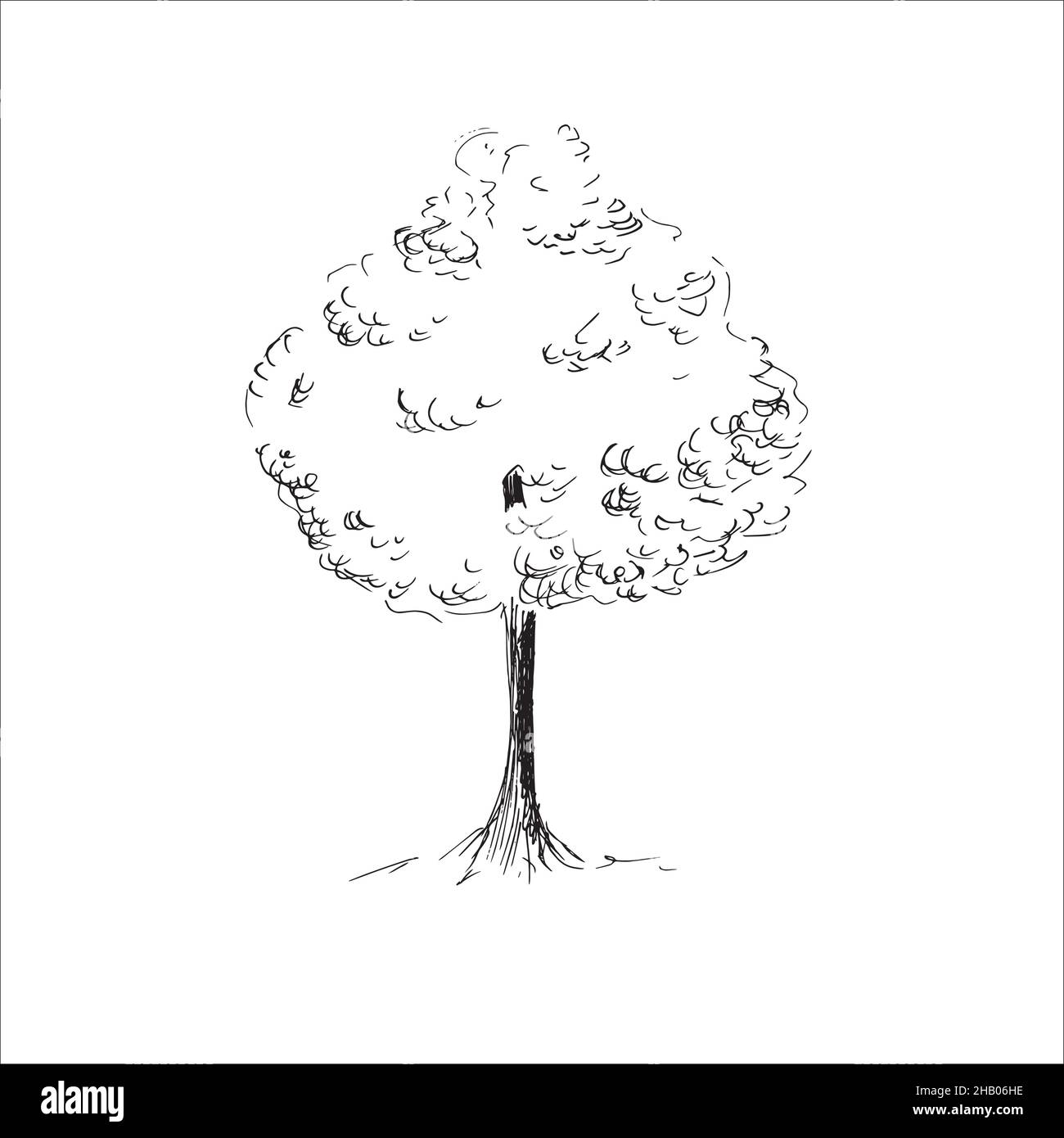 line sketch of deciduous tree, vector isolated Stock Vector Image & Art ...