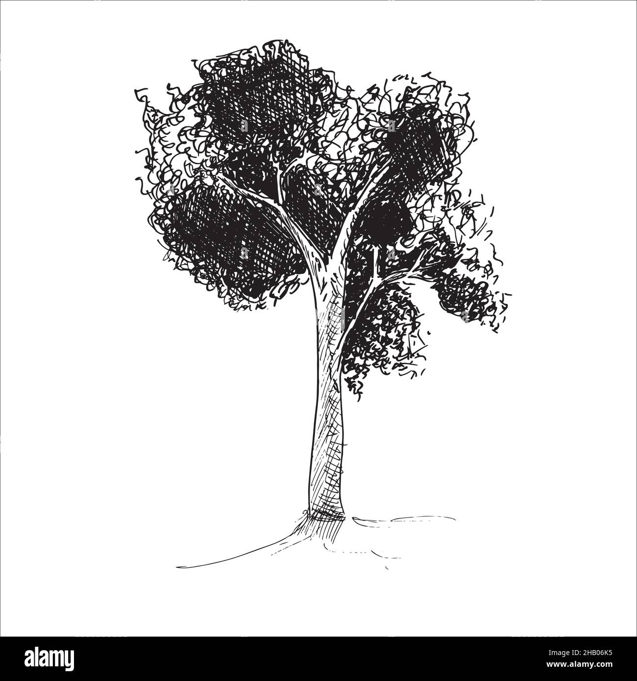 deciduous tree. sketch for landscape design Stock Vector Image & Art ...
