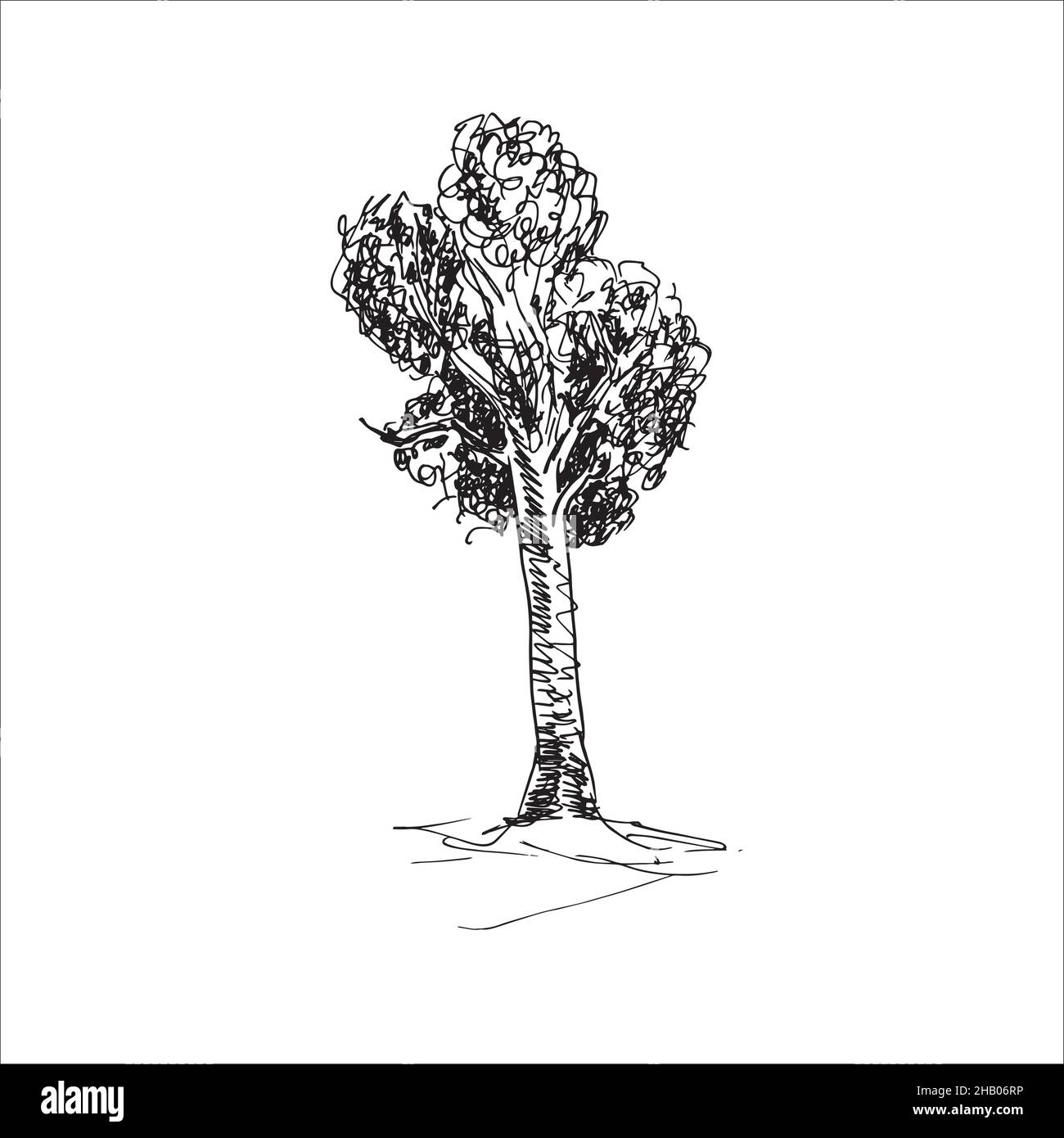 deciduous tree. sketch for landscape design Stock Vector Image & Art ...