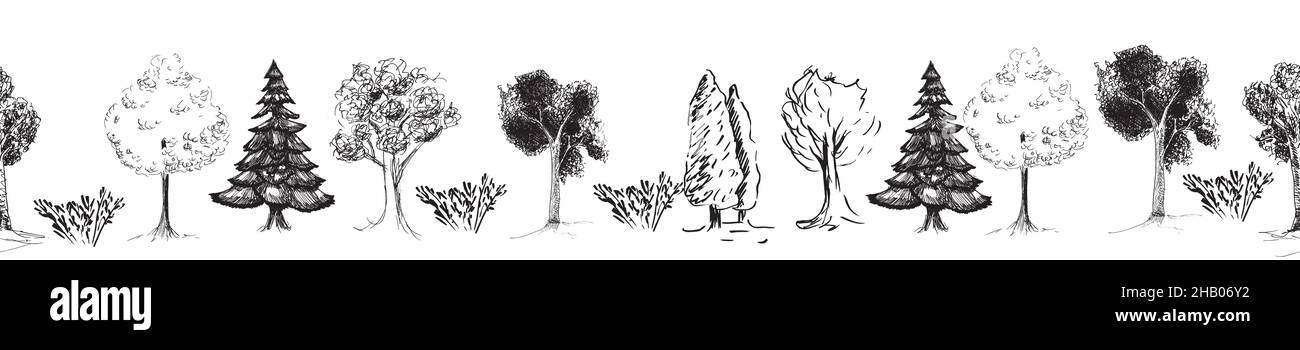 hand drawing with deciduous and coniferous trees, hand drawn natural ...