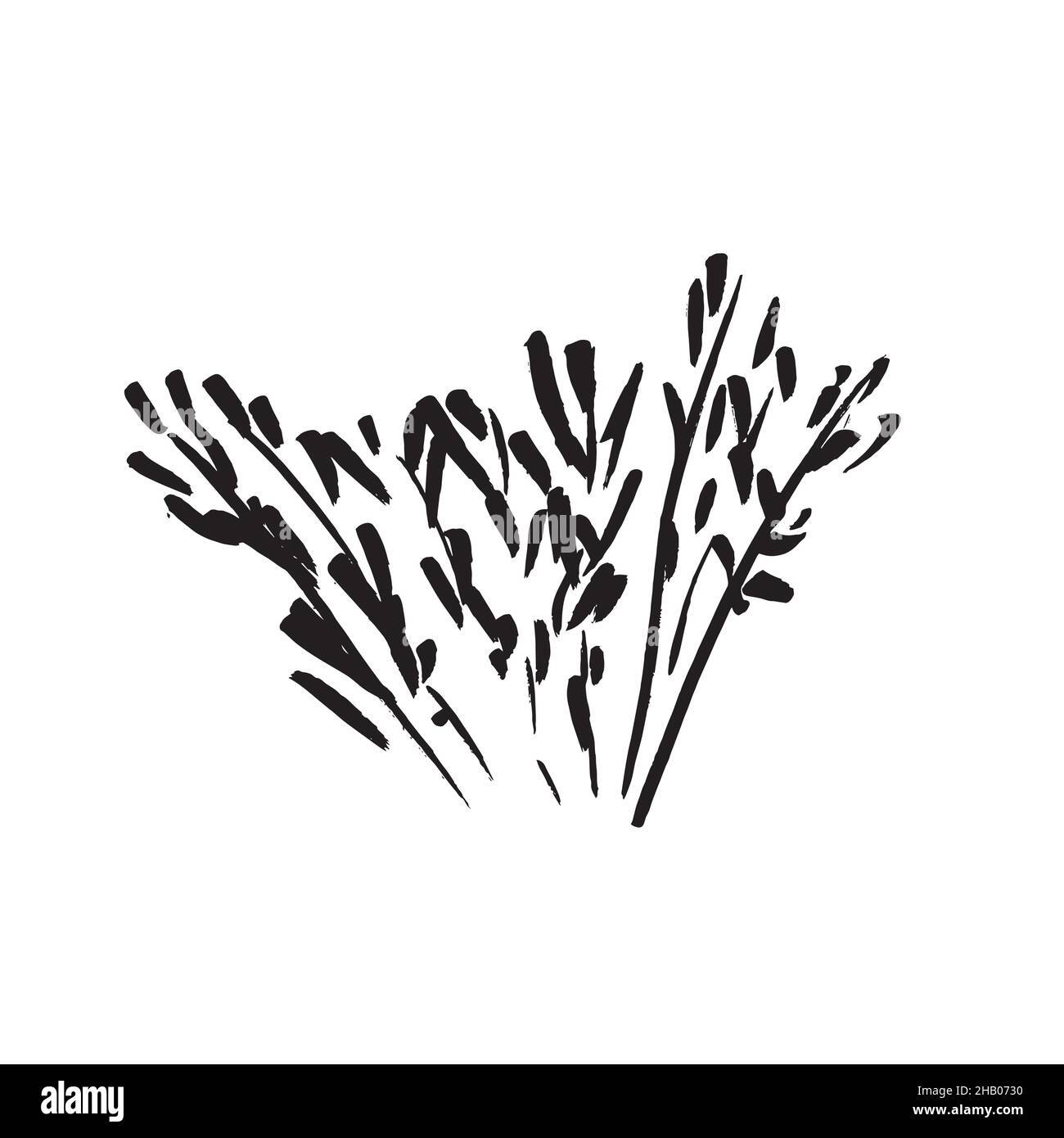 Simple vector black outline drawing. bush sketch silhouette Stock ...