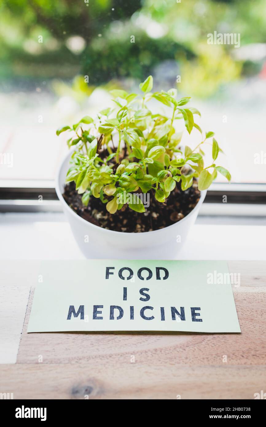 Food is Medicine text on dining table next to basil plant, concept of ...