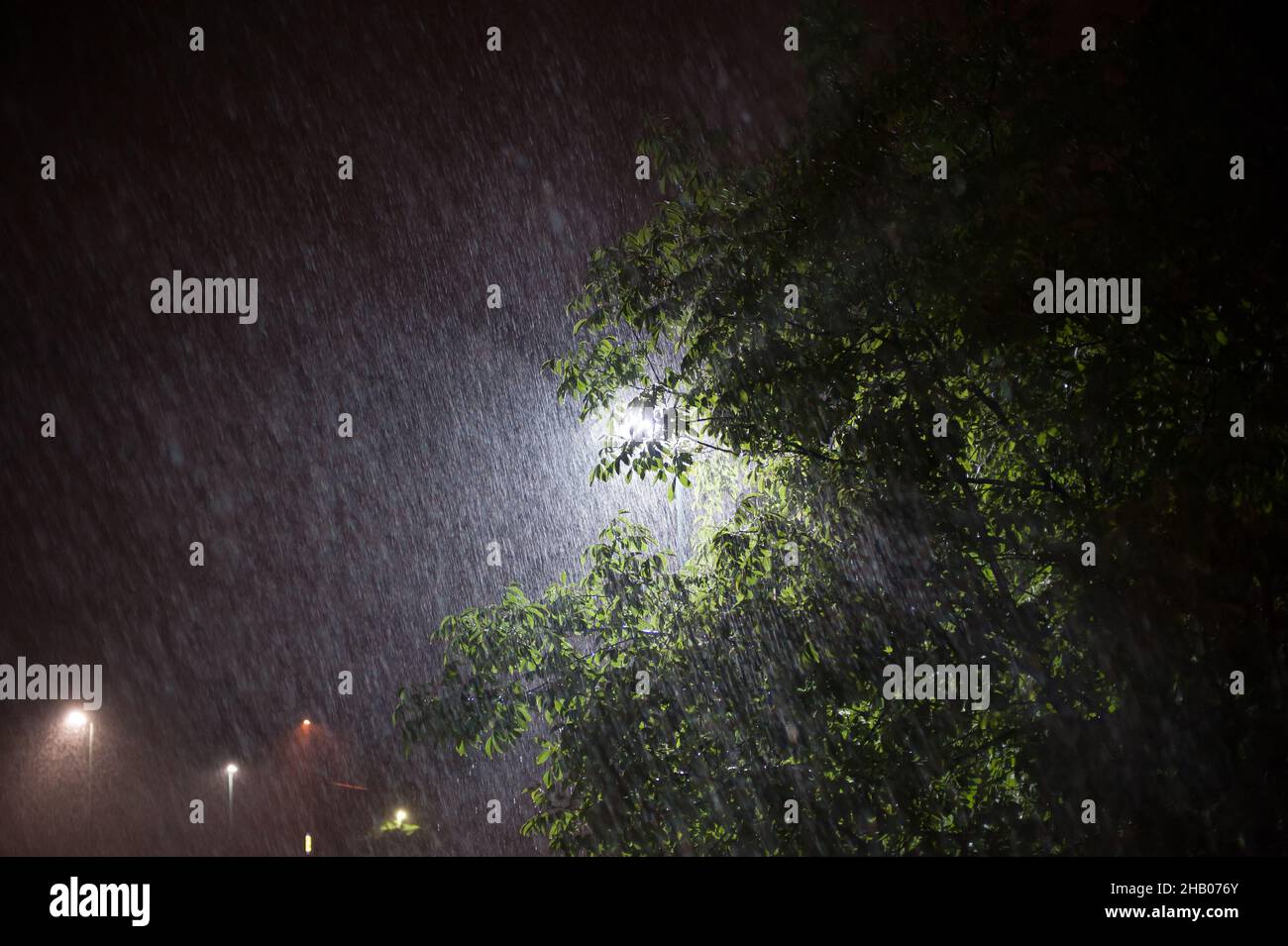 Heavy rainstorm in summer season under the street lights. Rain close up ...