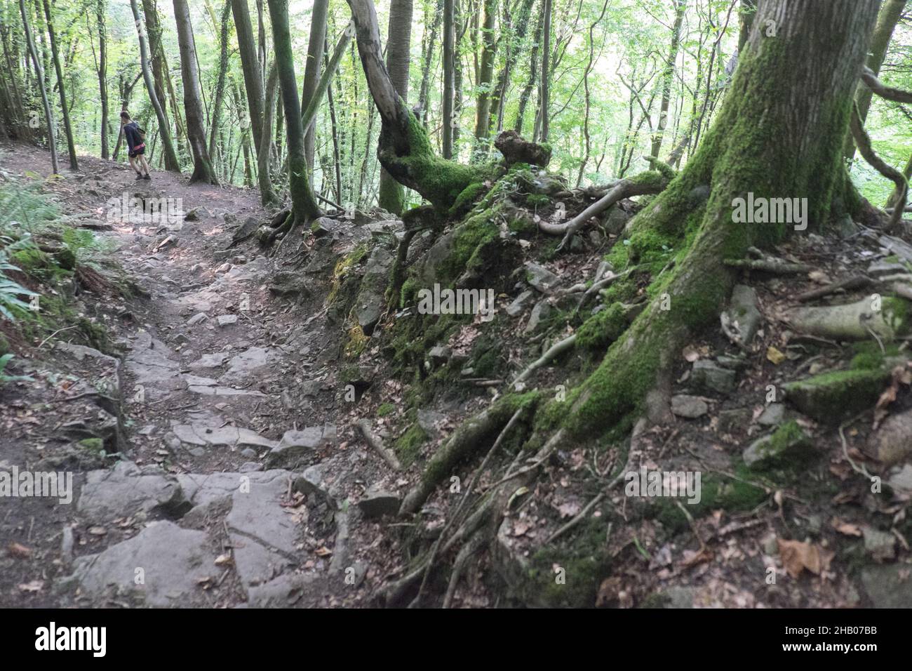 Hiking,hiker,walker,walking,footpath,trail,Offa's Dyke Path,on,public ...