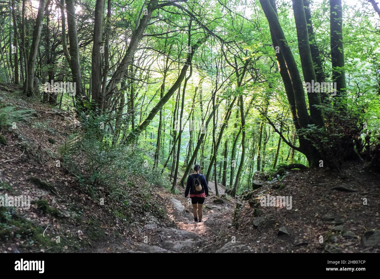 Hiking,hiker,walker,walking,footpath,trail,Offa's Dyke Path,on,public ...