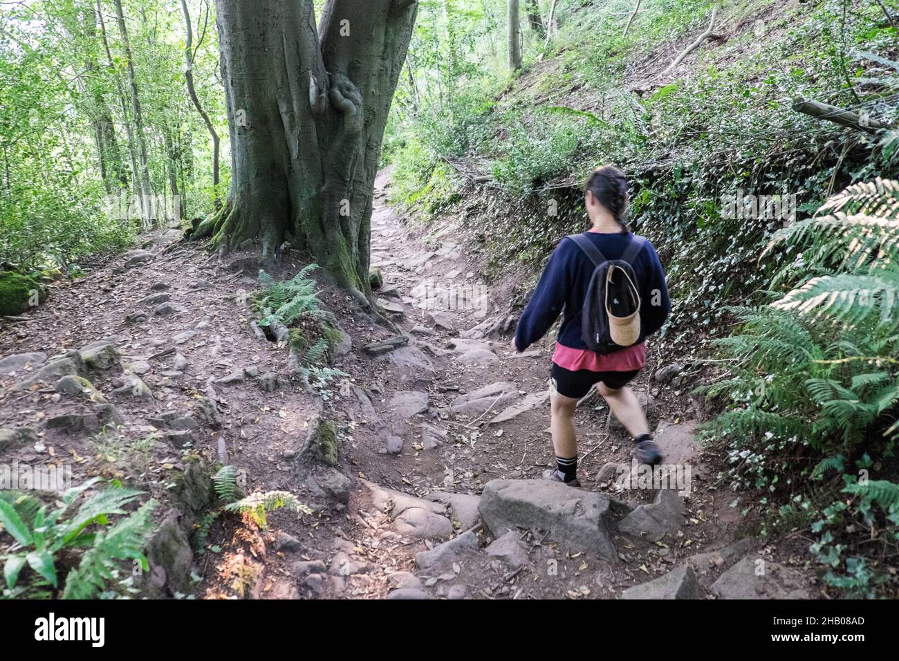 Hiking,hiker,walker,walking,footpath,trail,Offa's Dyke Path,on,public ...