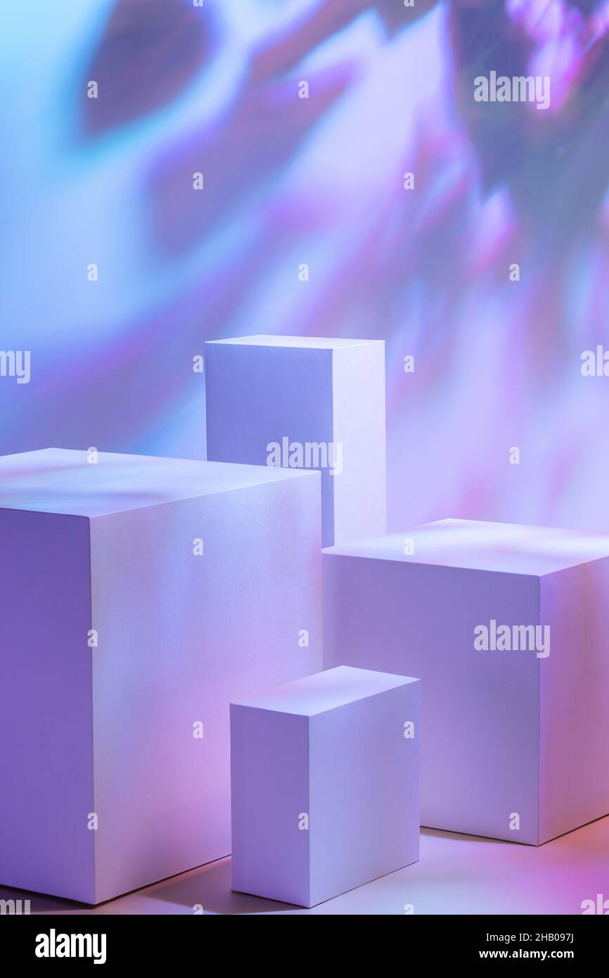 four rectangle white podiums on pastel neon background Stock Photo - Alamy