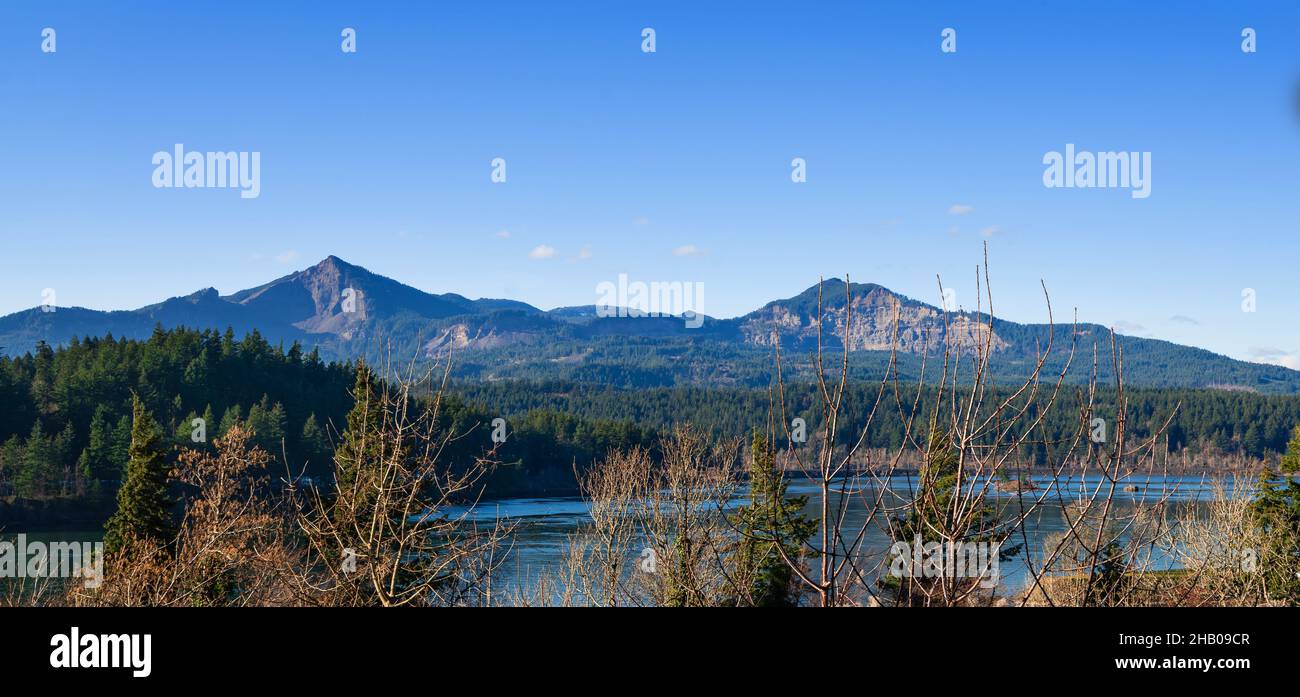 Greenleaf basin hi-res stock photography and images - Alamy