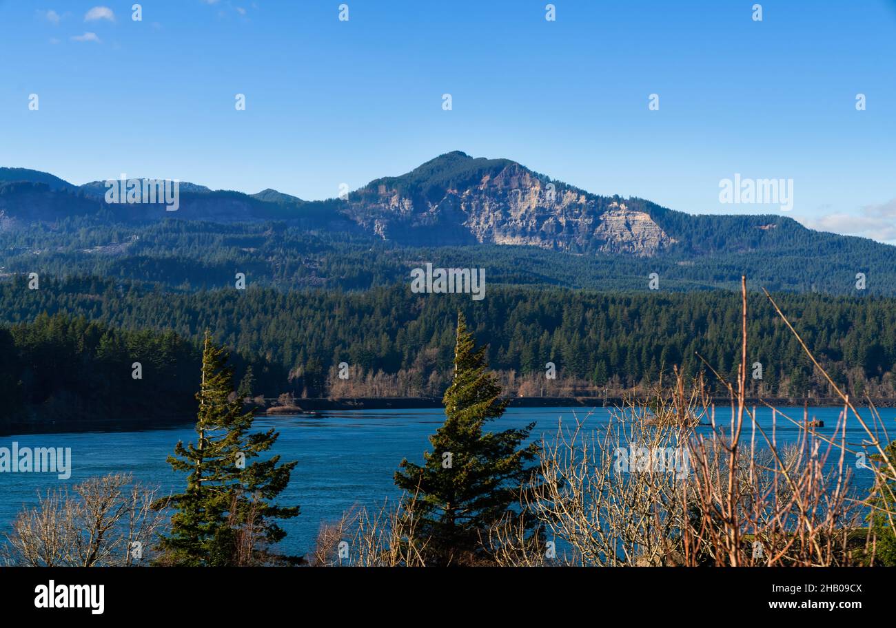 Greenleaf basin hi-res stock photography and images - Alamy