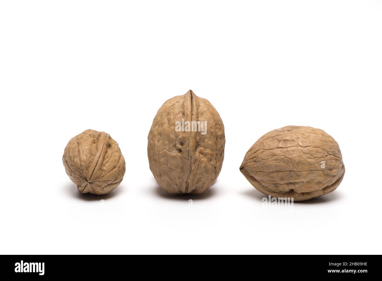 three whole walnuts in closed shell side by side seen from different ...