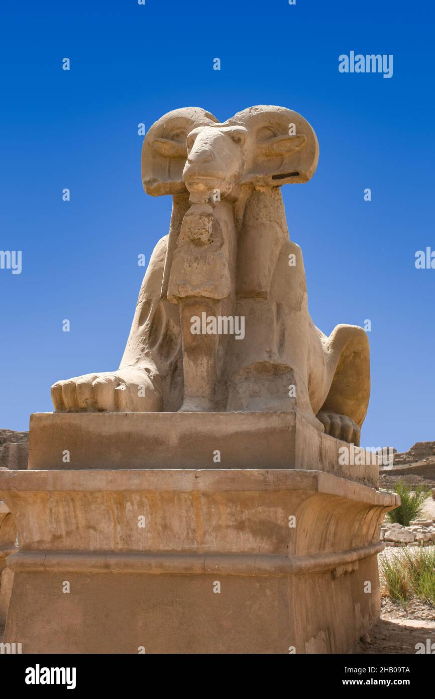 Karnak temple complex in Luxor, Egypt. Sphinx with ram head, Criosphinx ...