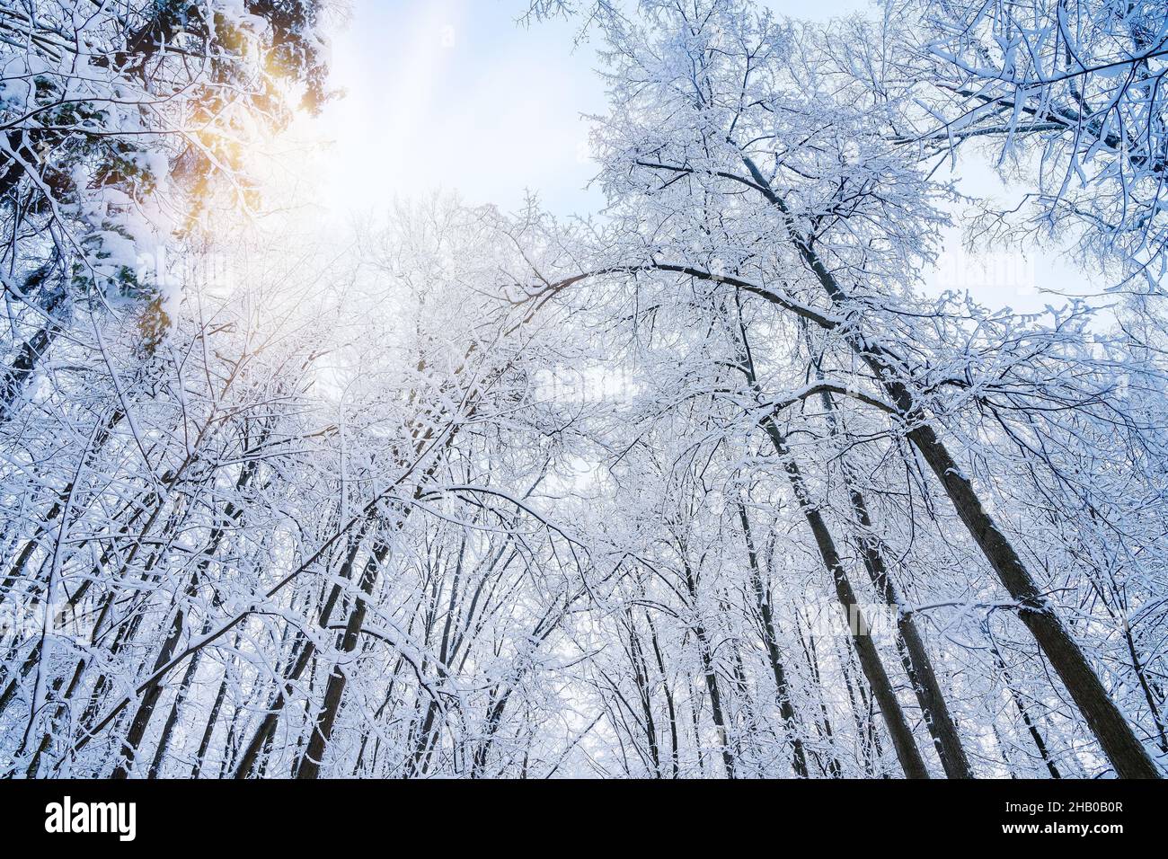 Frosty bottom hi-res stock photography and images - Alamy