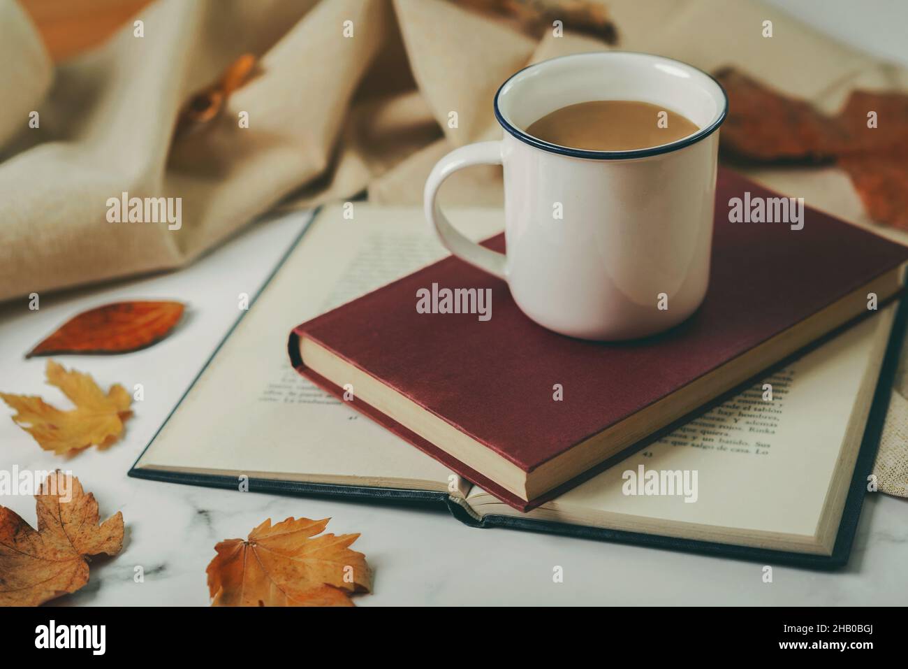 Still life books writing hi-res stock photography and images - Alamy