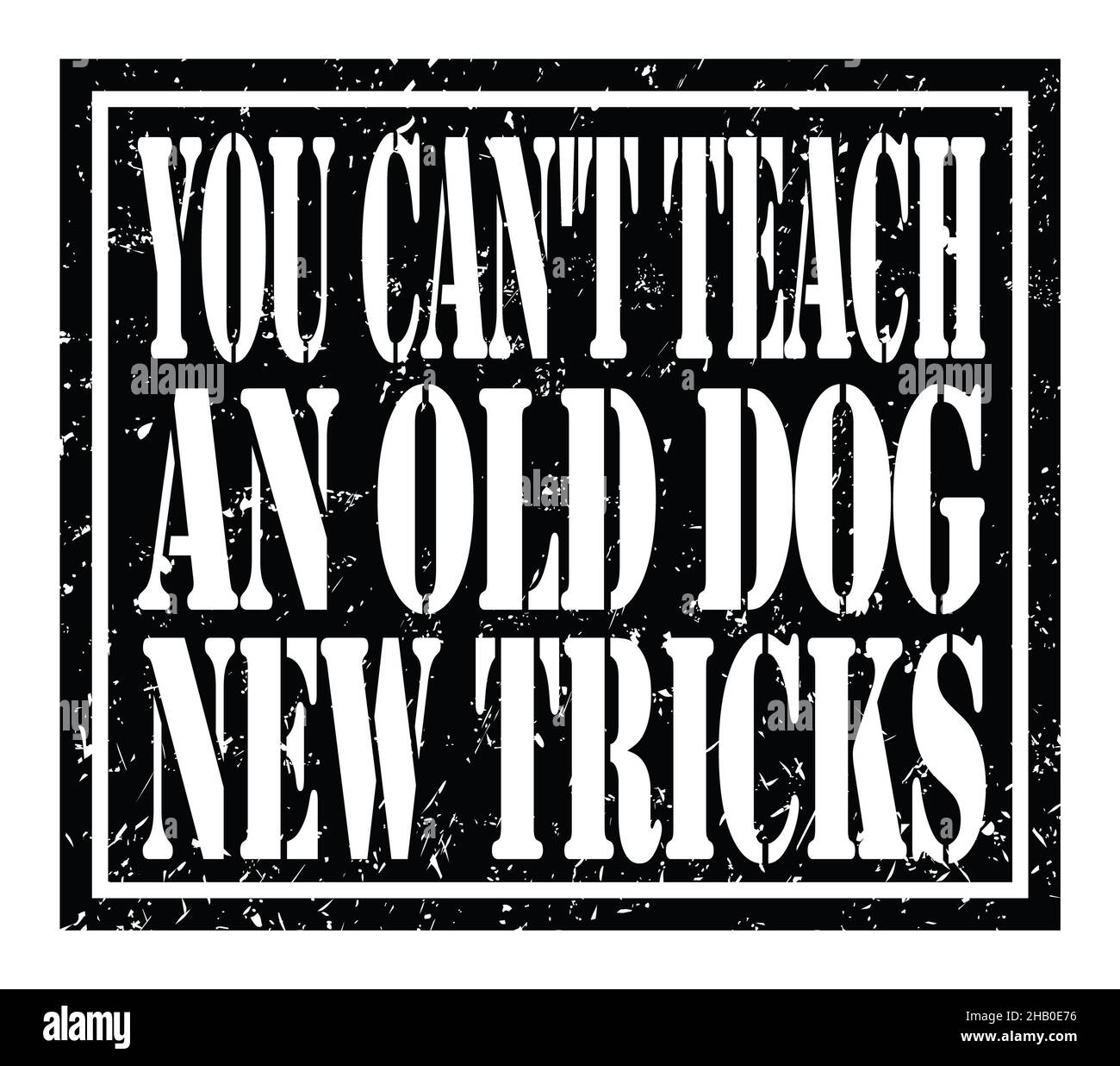 YOU CAN'T TEACH AN OLD DOG NEW TRICKS, words written on black stamp ...