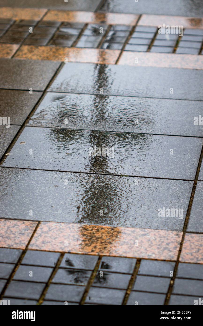 Vertical closeup of the wet ground. The wet asphalt after the rain ...