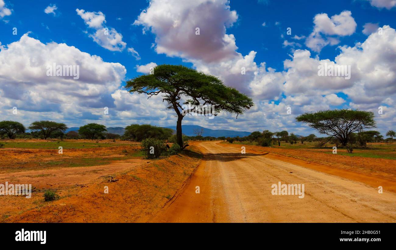 Kenya landscape with animals hi-res stock photography and images - Alamy