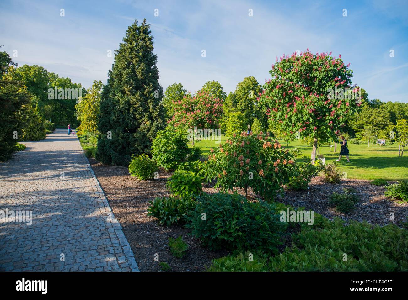 Troja botanical garden hi-res stock photography and images - Alamy