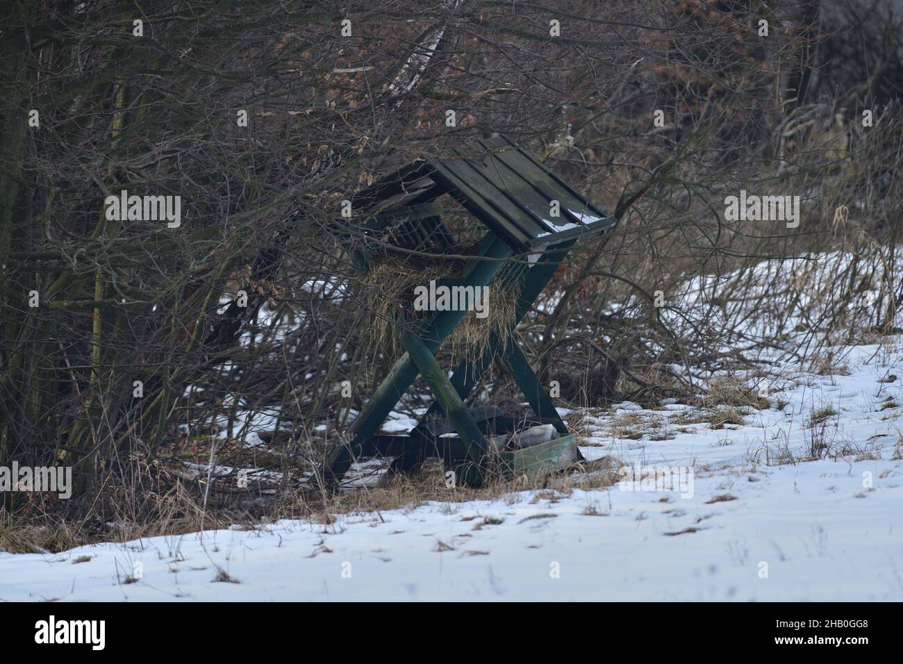 Animal feeder rack with hay for wildlife animal in winter Stock Photo ...