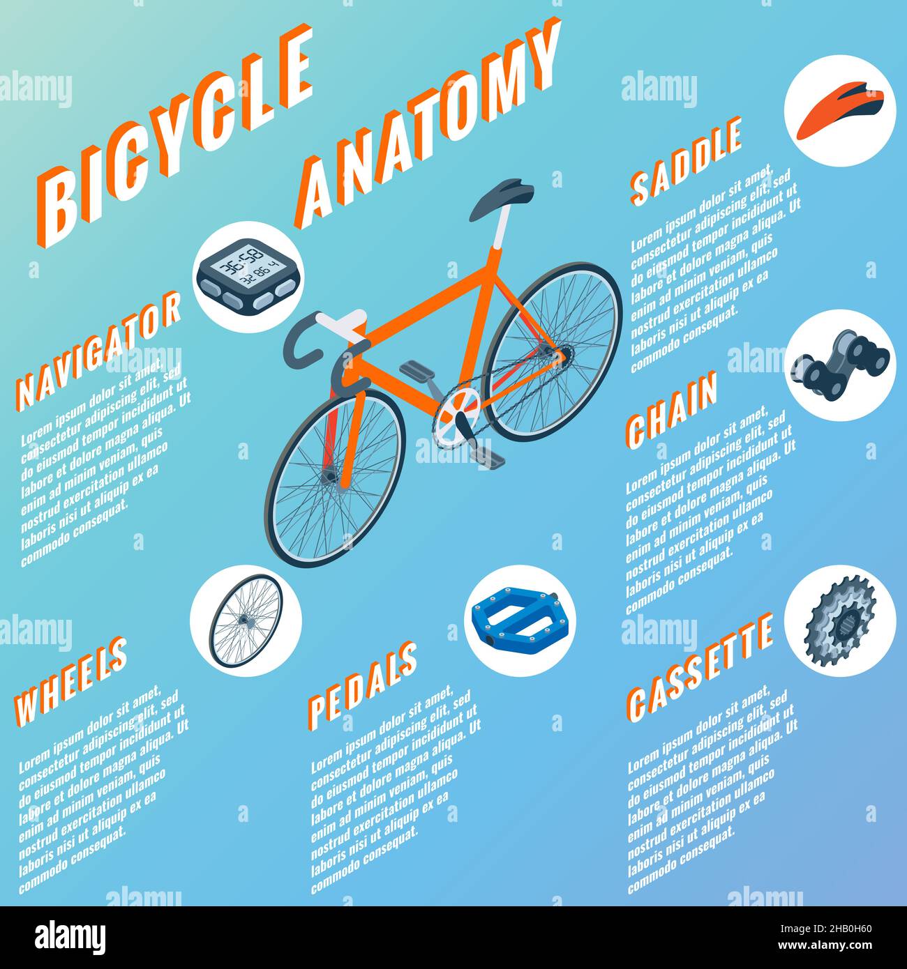 Bicycle anatomy concept infographic. Vector set of bicycle parts ...