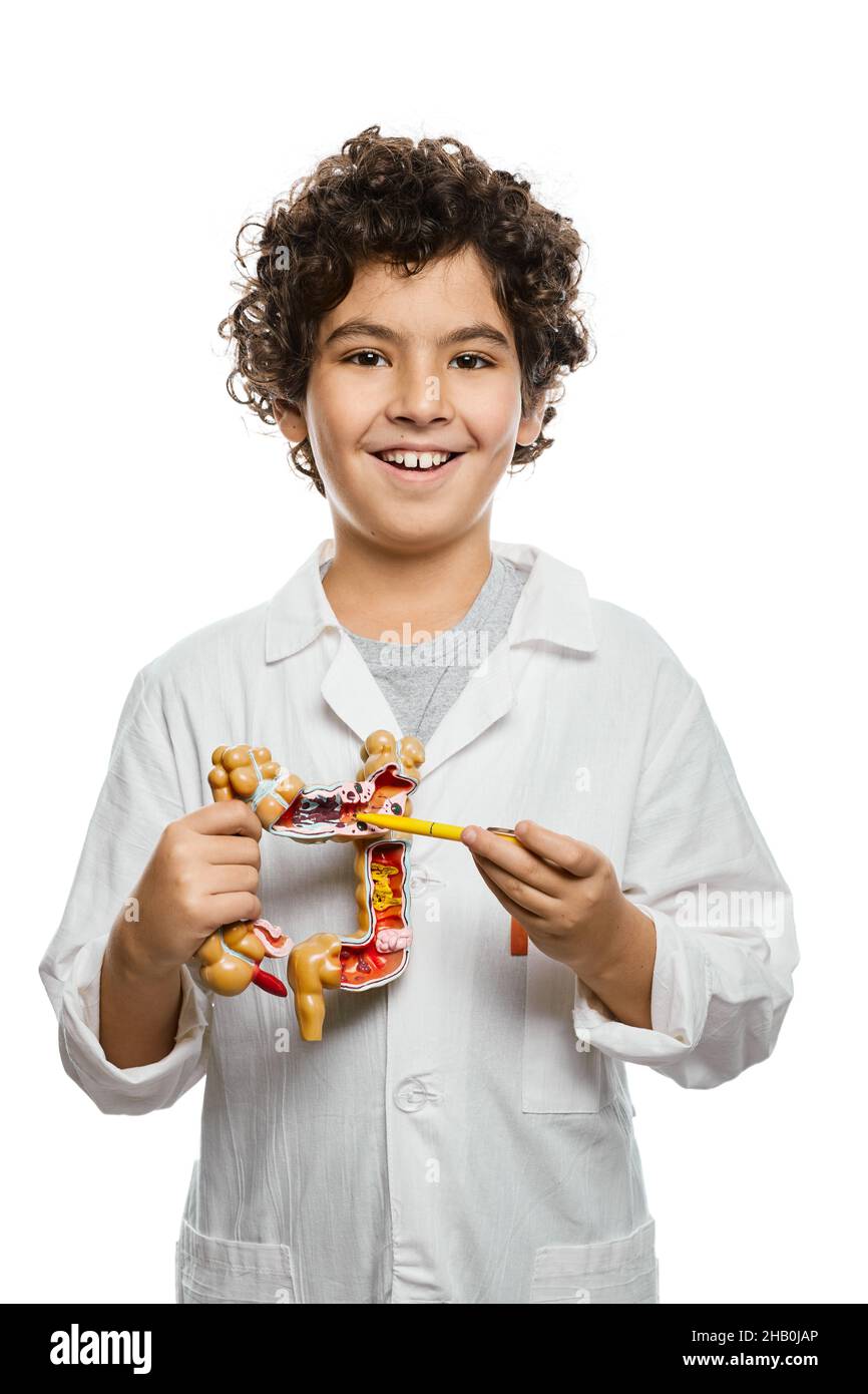 Boy anatomy hi-res stock photography and images - Alamy